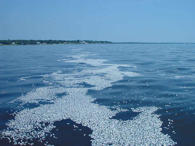 See how other areas are addressing water treatment - Riverhead News ...
